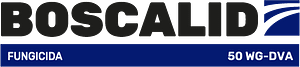 Fungicida Boscalid 50 WG-DVA